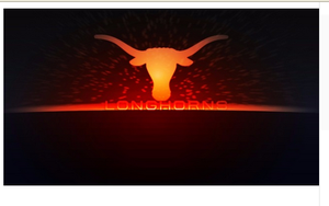 Texas Longhorn Flag Texas NCAA University of Texas banner, 3x5FT 90*15 ...
