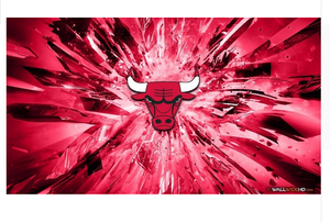 Chicago Bulls Flag-3x5FT Chicago Bull flags Banner-100% polyester ...