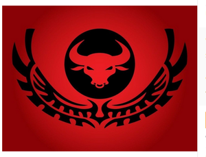 Chicago Bulls Flag-3x5FT Chicago Bull flags Banner-100% polyester ...