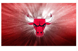 Chicago Bulls Flag-3x5FT Chicago Bull flags Banner-100% polyester ...
