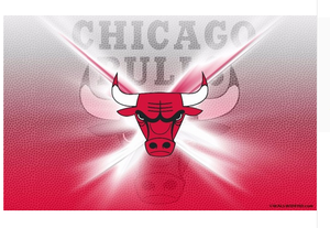 Chicago Bulls Flag-3x5FT Chicago Bull flags Banner-100% polyester ...