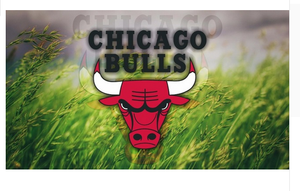 Chicago Bulls Flag-3x5FT Chicago Bull flags Banner-100% polyester ...