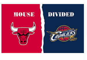 Chicago Bulls Flag-3x5FT Chicago Bull flags Banner-100% polyester ...