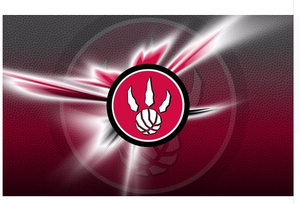 Toronto Raptors Flag-3x5FT Banner-100% polyester - flagsshop